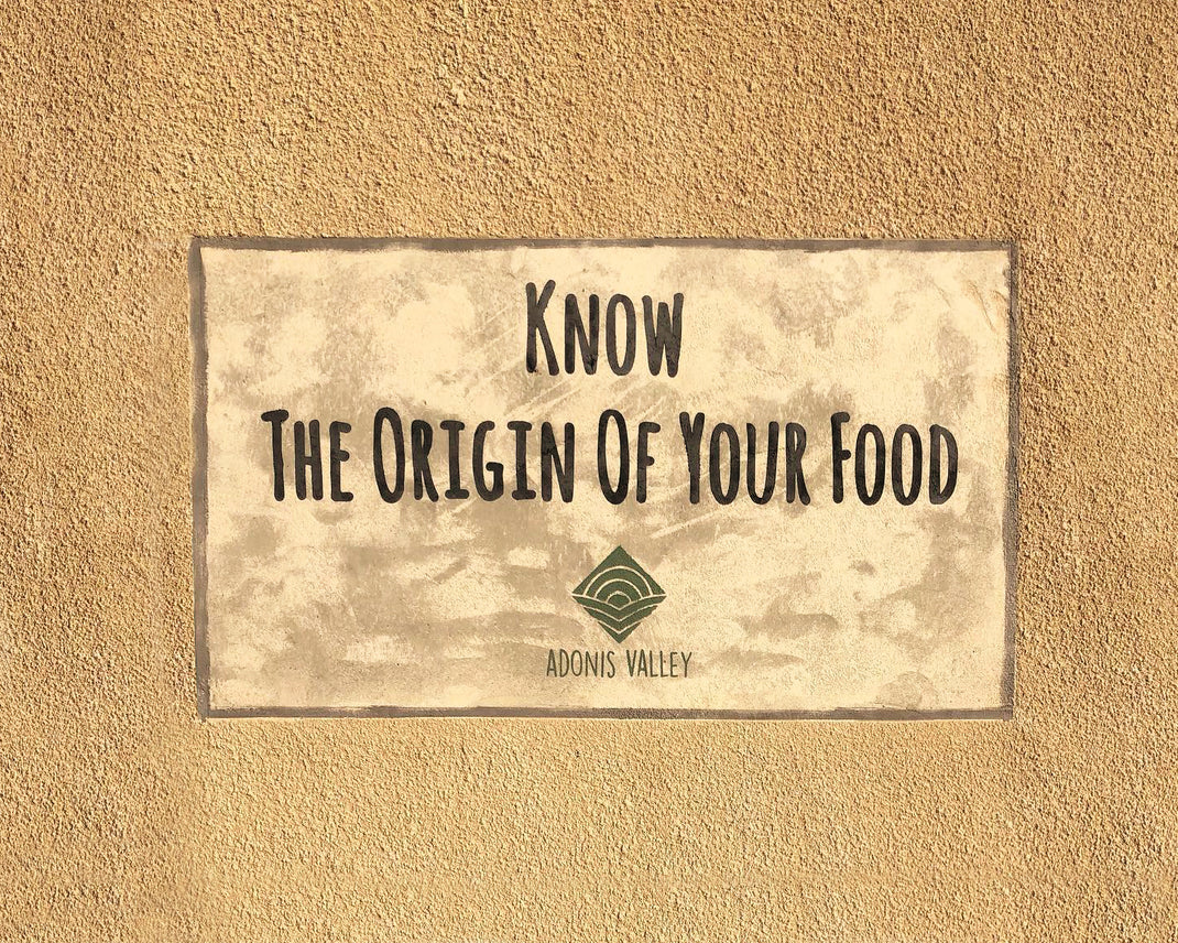 Adonis Valley Organic Tomato Ketchup – Healthy 961